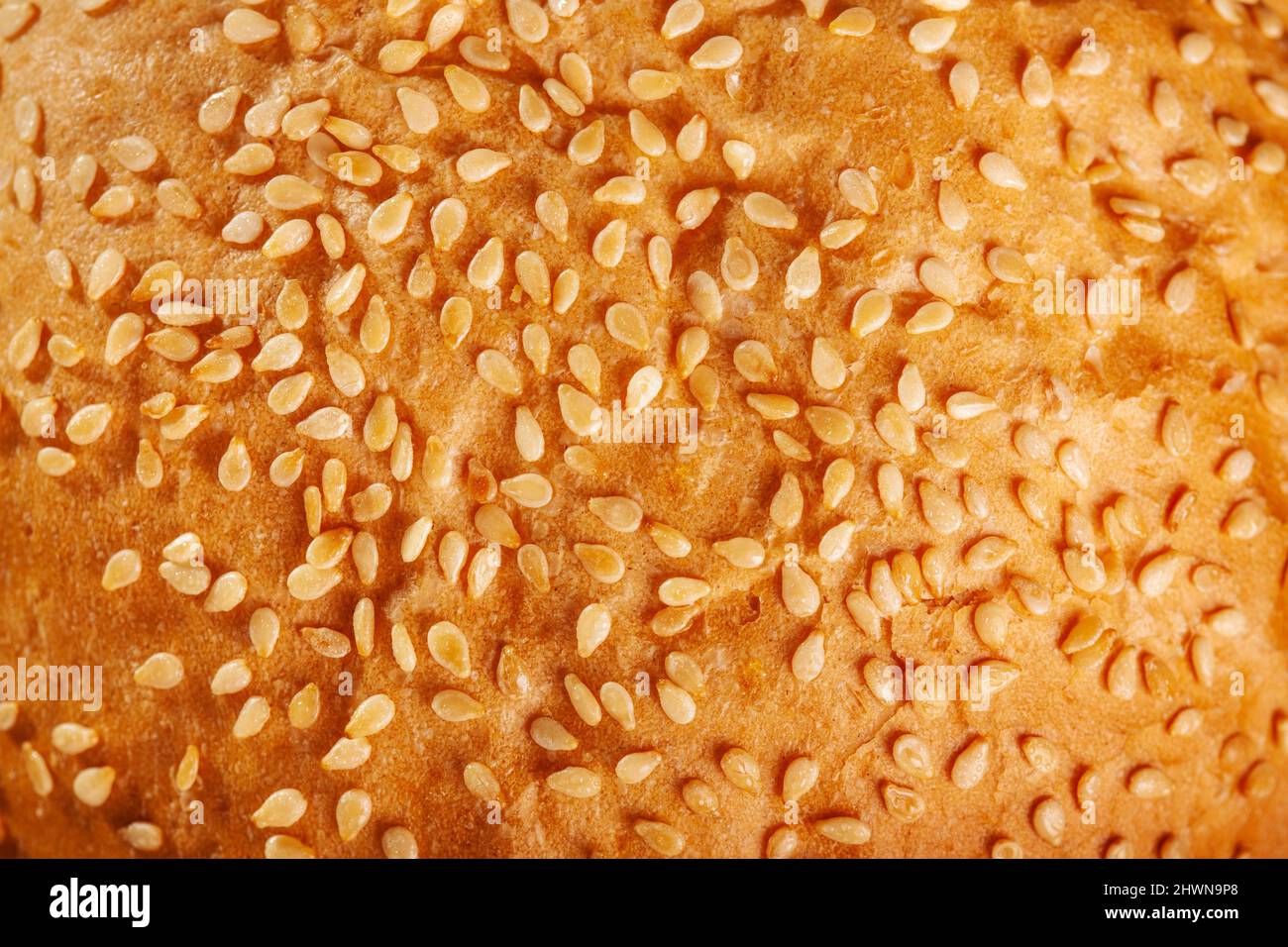 Close up abstract burger bun with sesame seeds texture background Stock ...