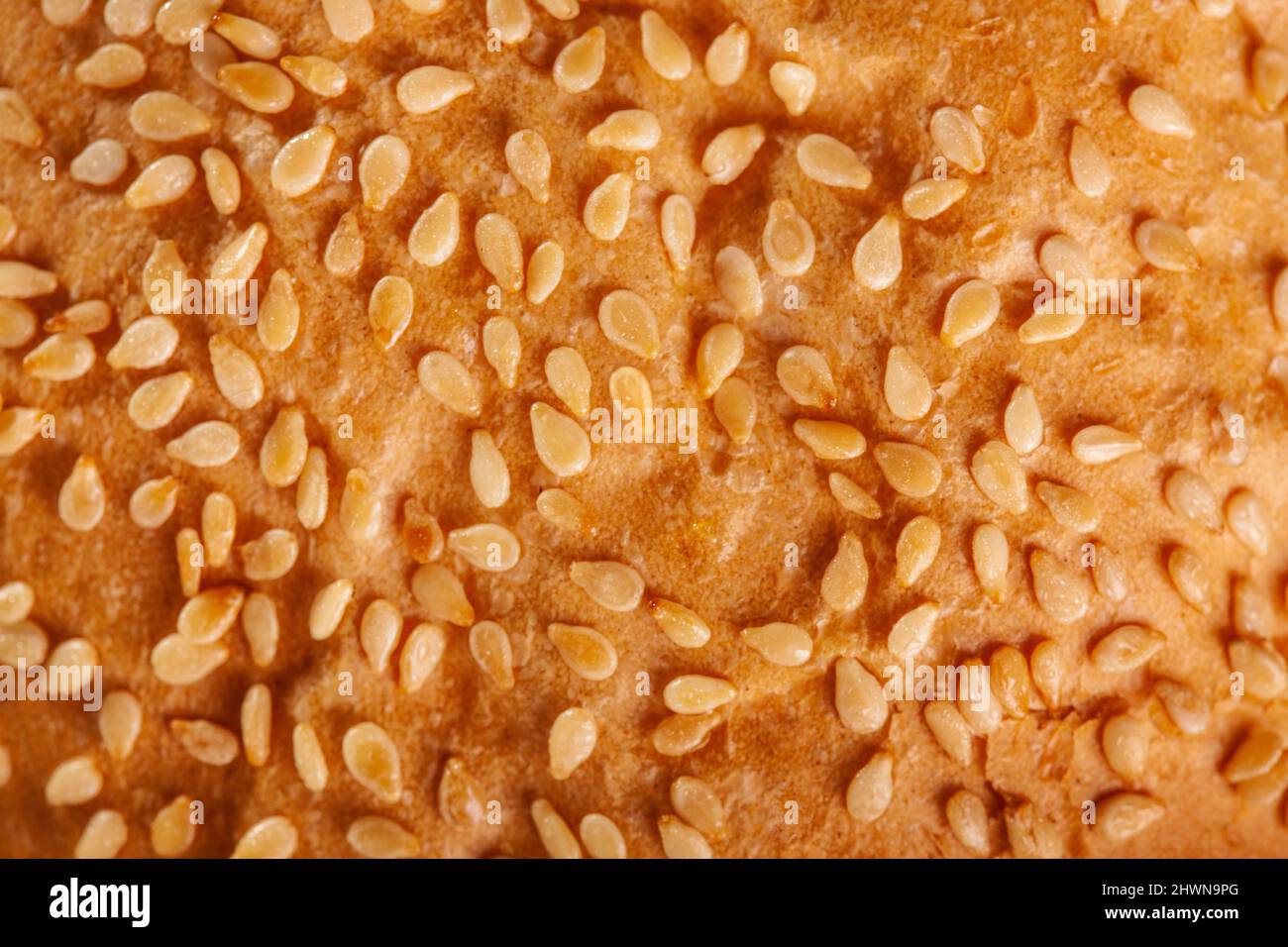 Close up abstract burger bun with sesame seeds texture background Stock ...