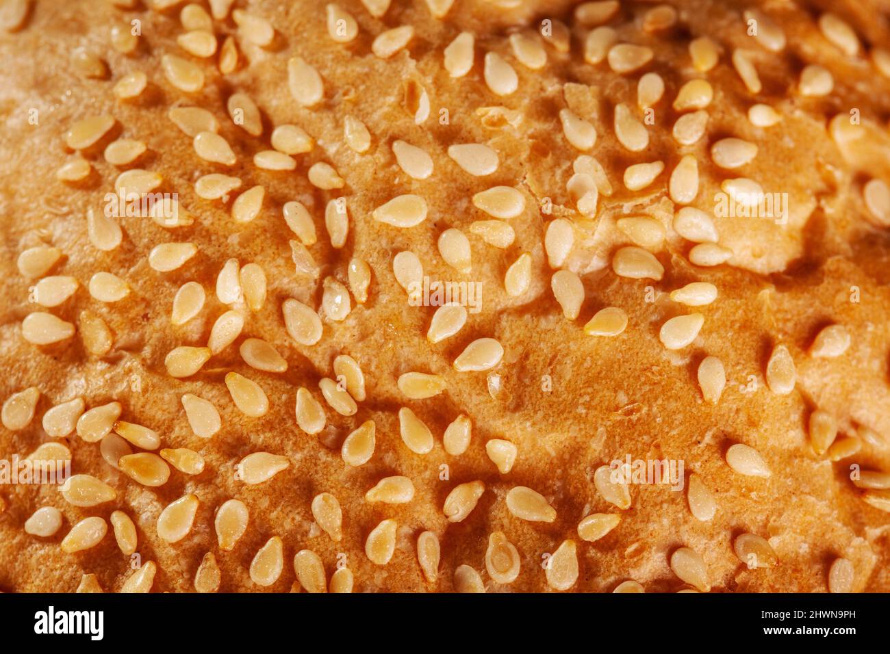 Close up abstract burger bun with sesame seeds texture background Stock ...