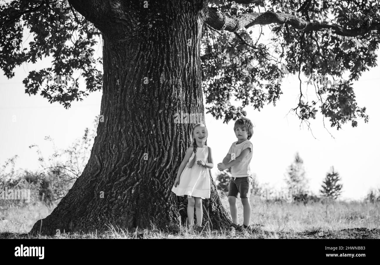 Happy kids on countryside. Climbing trees children. Little boy and girl ...