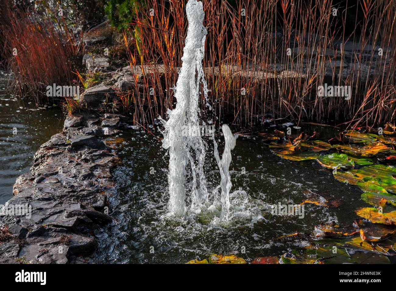 Fountain in peaceful lotus pond hi-res stock photography and images - Alamy