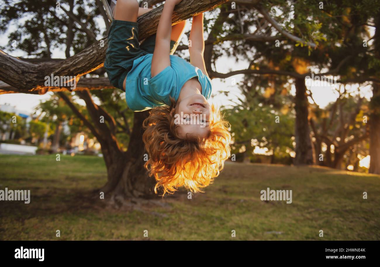 Child climb a tree, kid playing in a park and climbing. Little boy ...