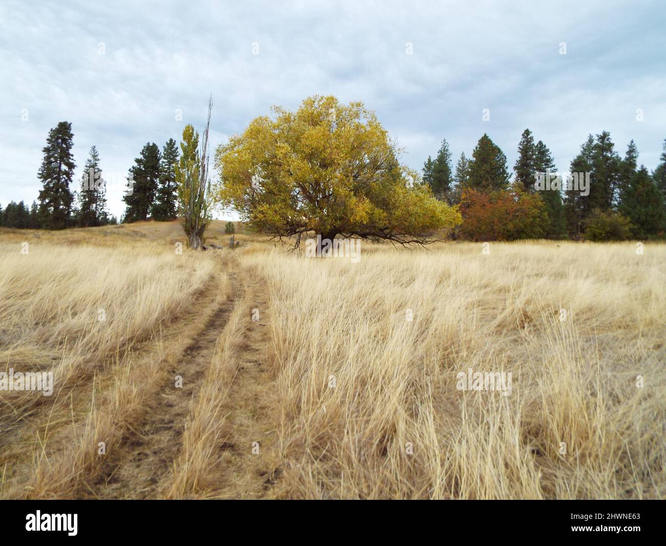 Conservation part hi-res stock photography and images - Alamy