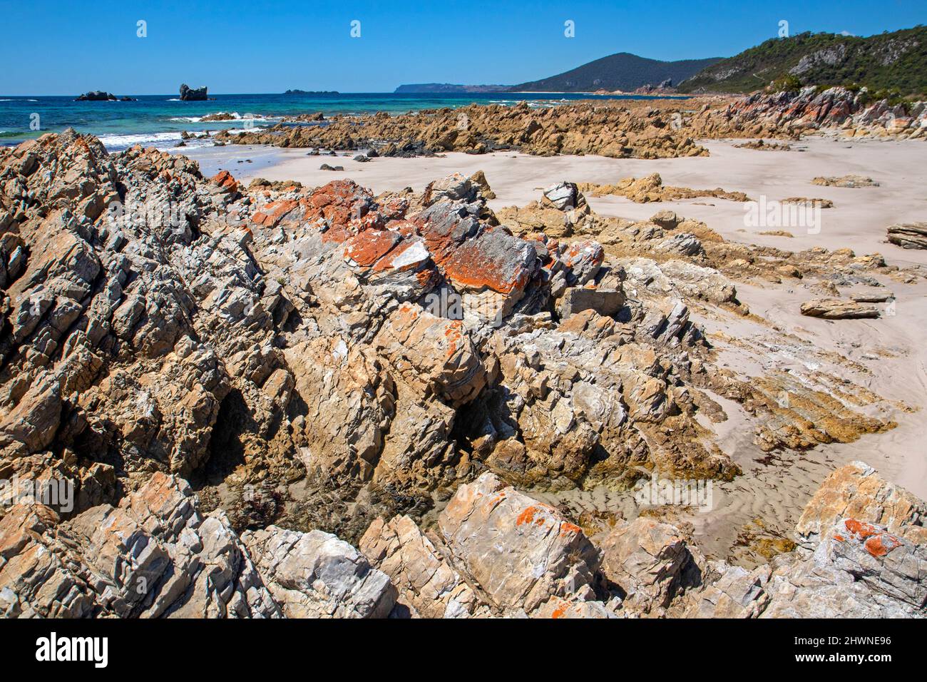 Anniversary Bay, Rocky Cape National Park Stock Photo - Alamy