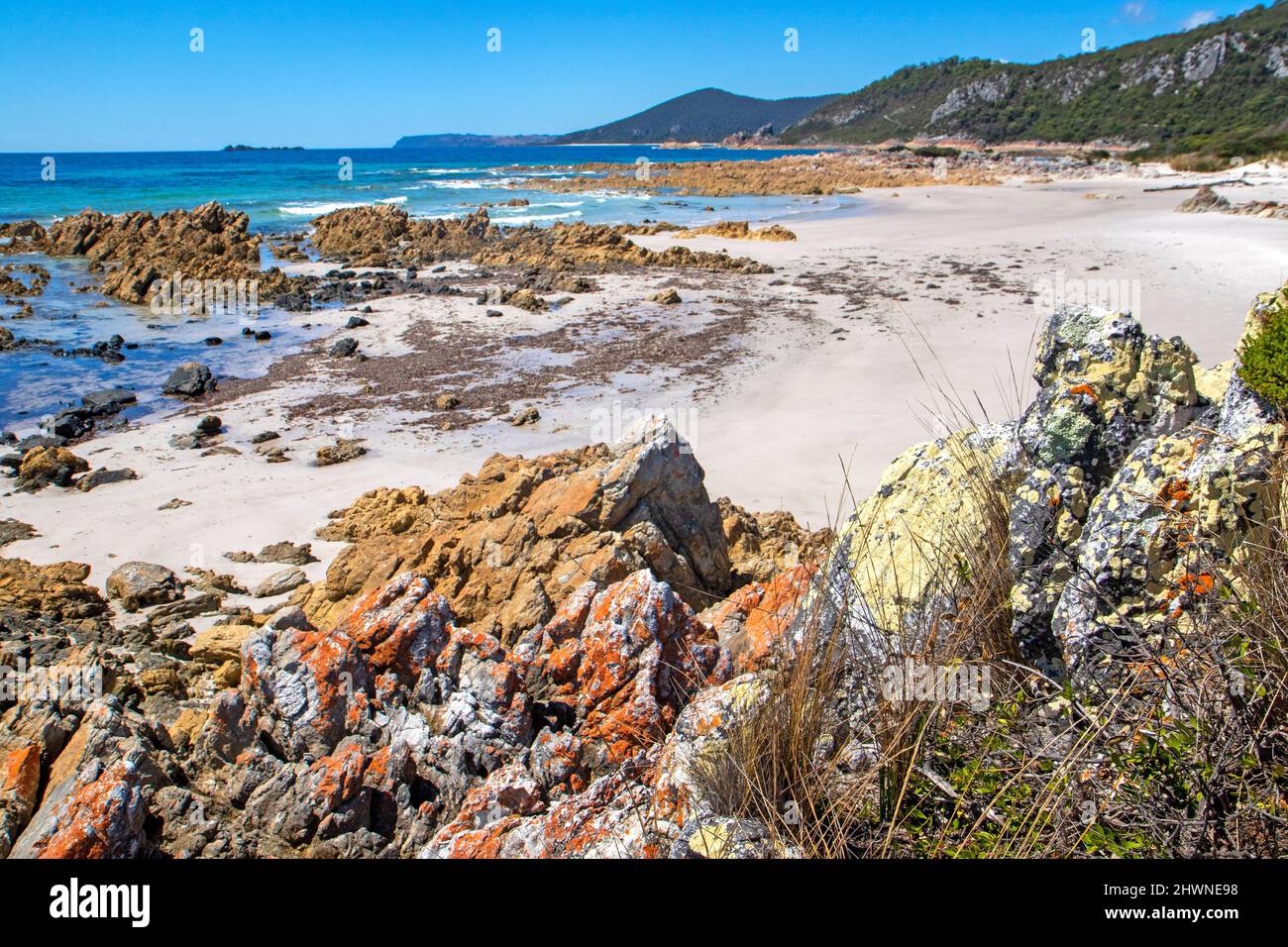 Anniversary Bay, Rocky Cape National Park Stock Photo - Alamy