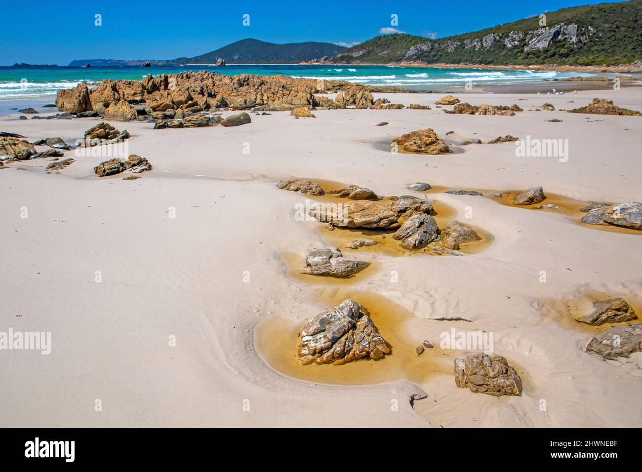 Anniversary Bay, Rocky Cape National Park Stock Photo - Alamy