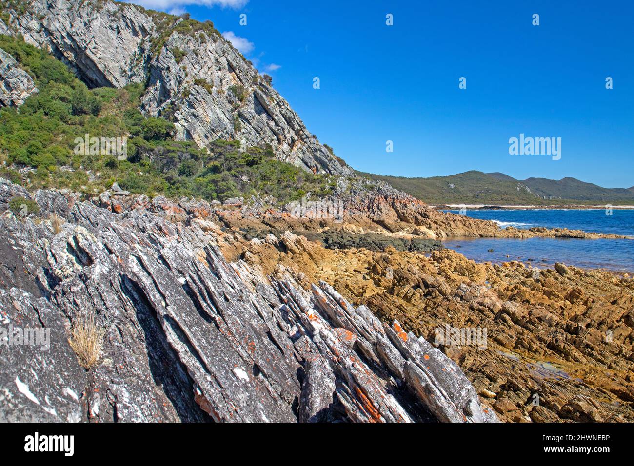 Coast at Rocky Cape National Park Stock Photo - Alamy
