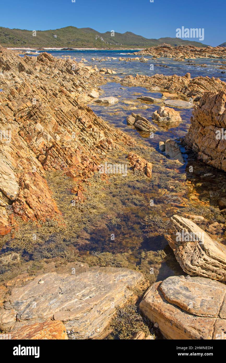 Rocky cape national park sisters beach hi-res stock photography and ...