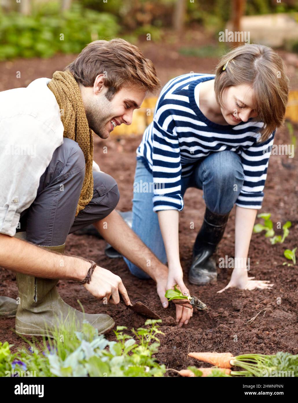 Careful planting reaps long-term rewards. Shot of a young couple ...