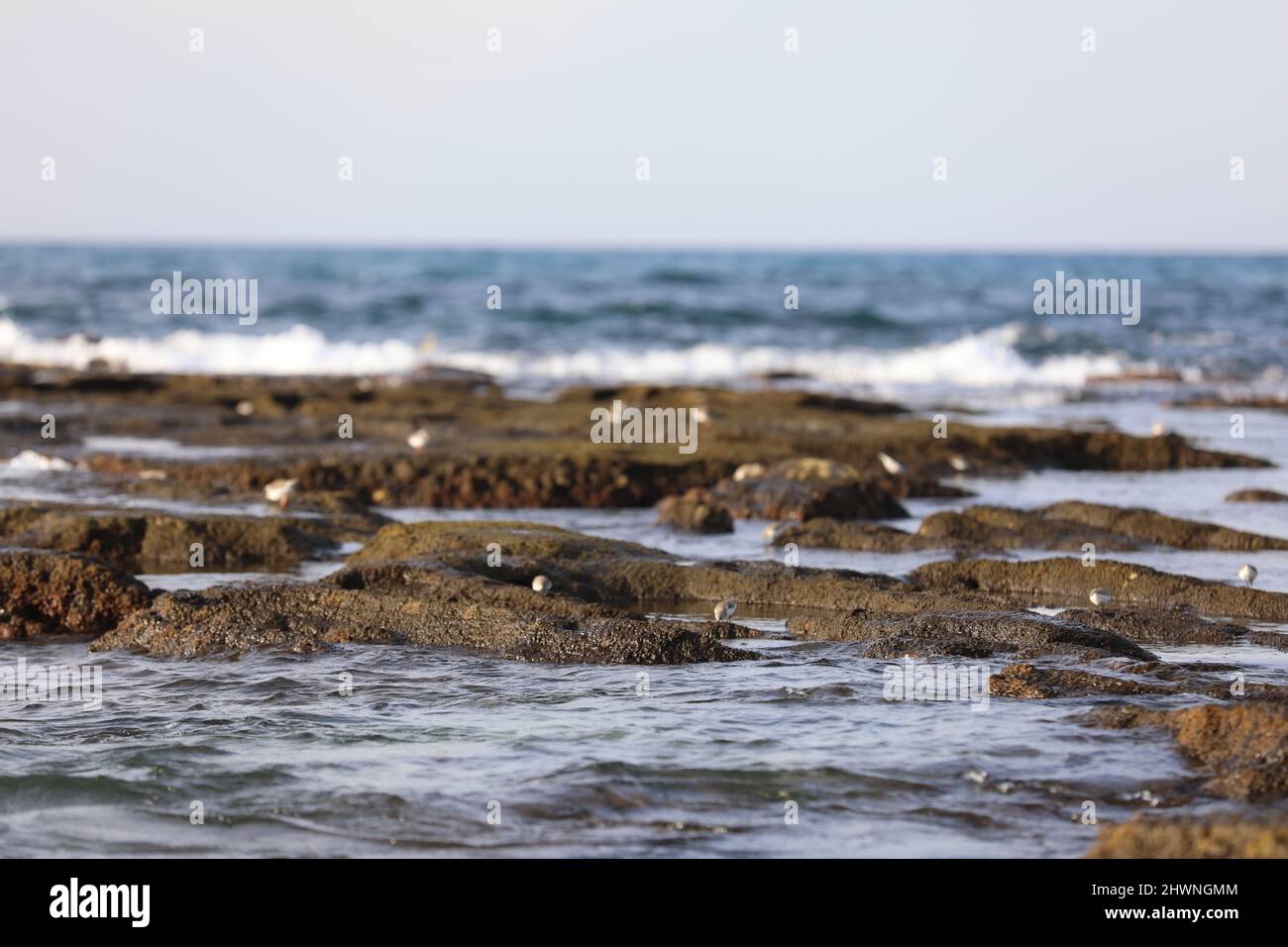 Landscape of rock and sea High quality Stock Photo - Alamy