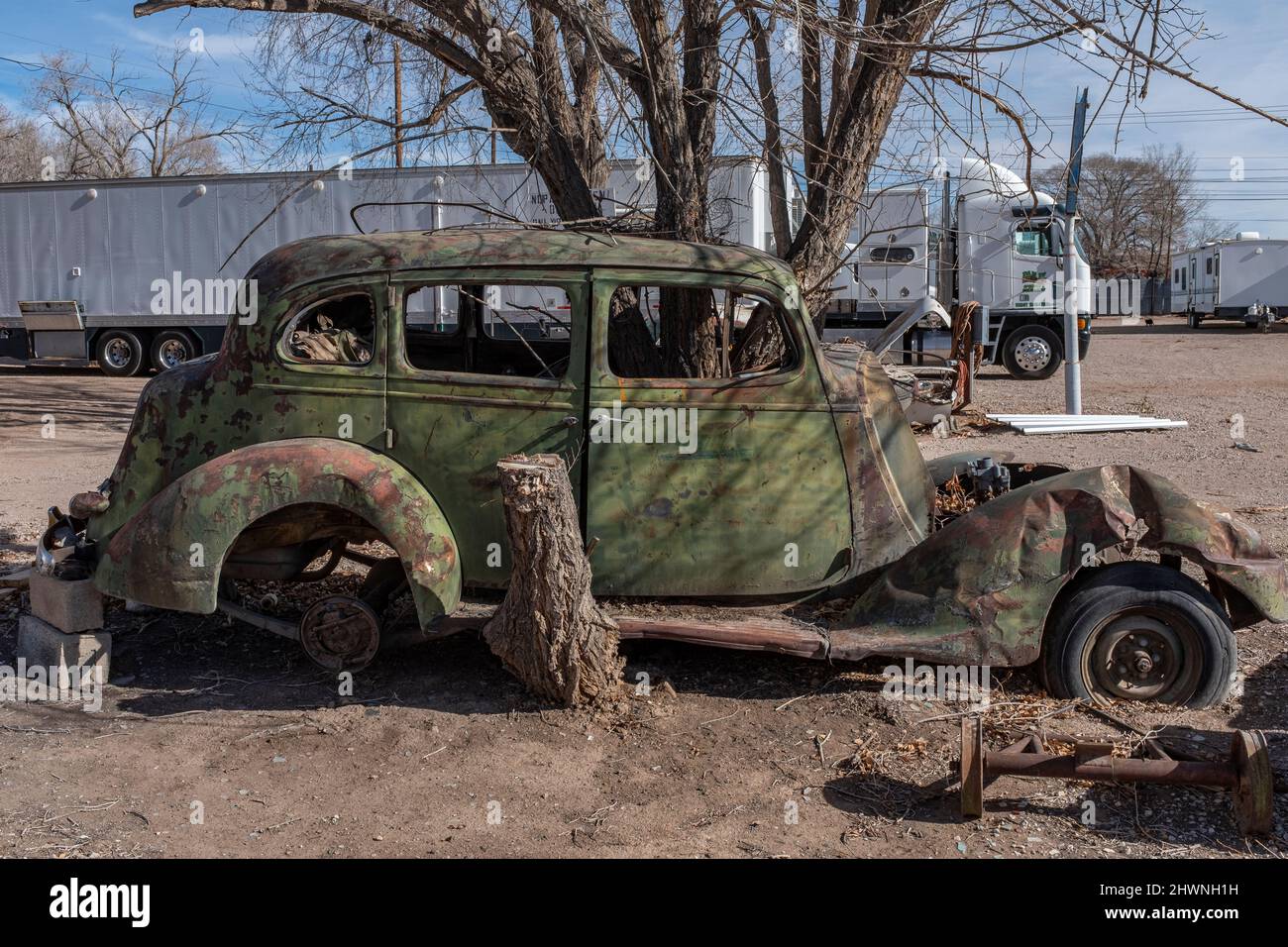 junk cars with trees growing through them Stock Photo - Alamy