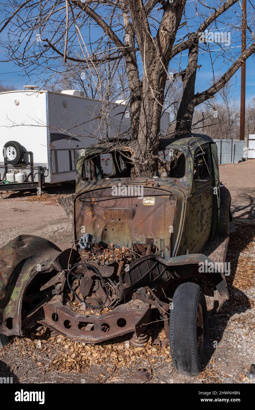 What Are Junk Trees at Sara Sterne blog