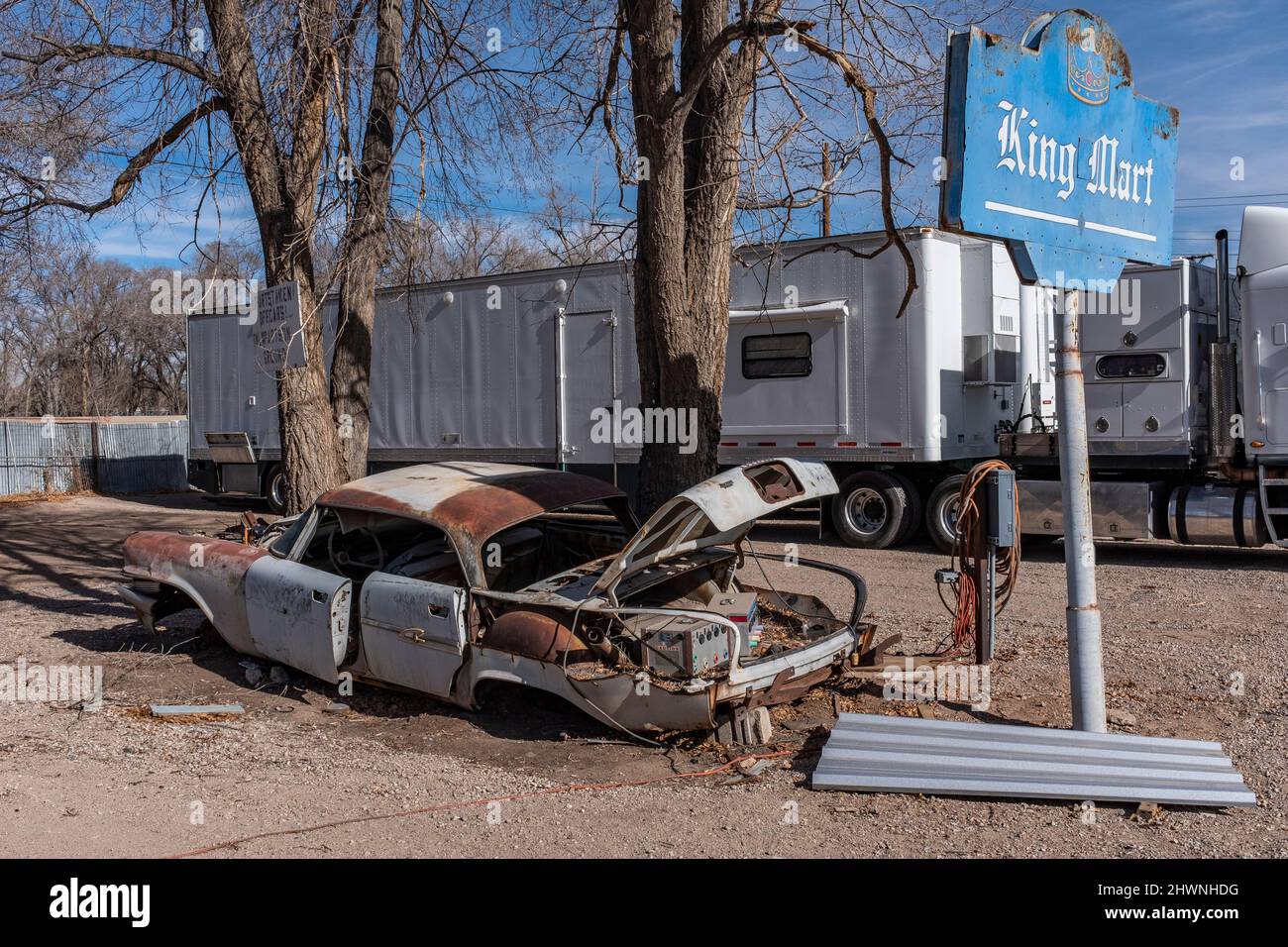 Tree growing out old car hi-res stock photography and images - Alamy