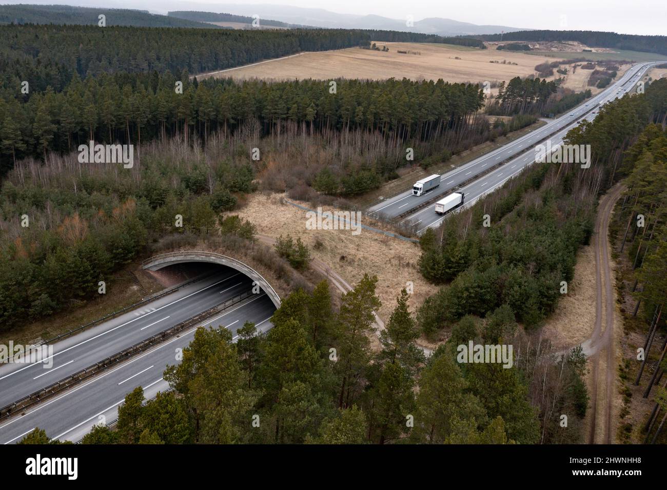 Animals road cross bridges hi-res stock photography and images - Alamy