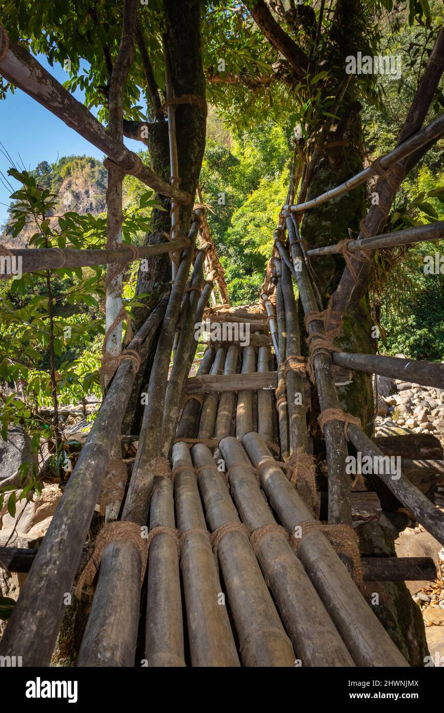traditional bamboo bridge for crossing river at forest at morning from ...