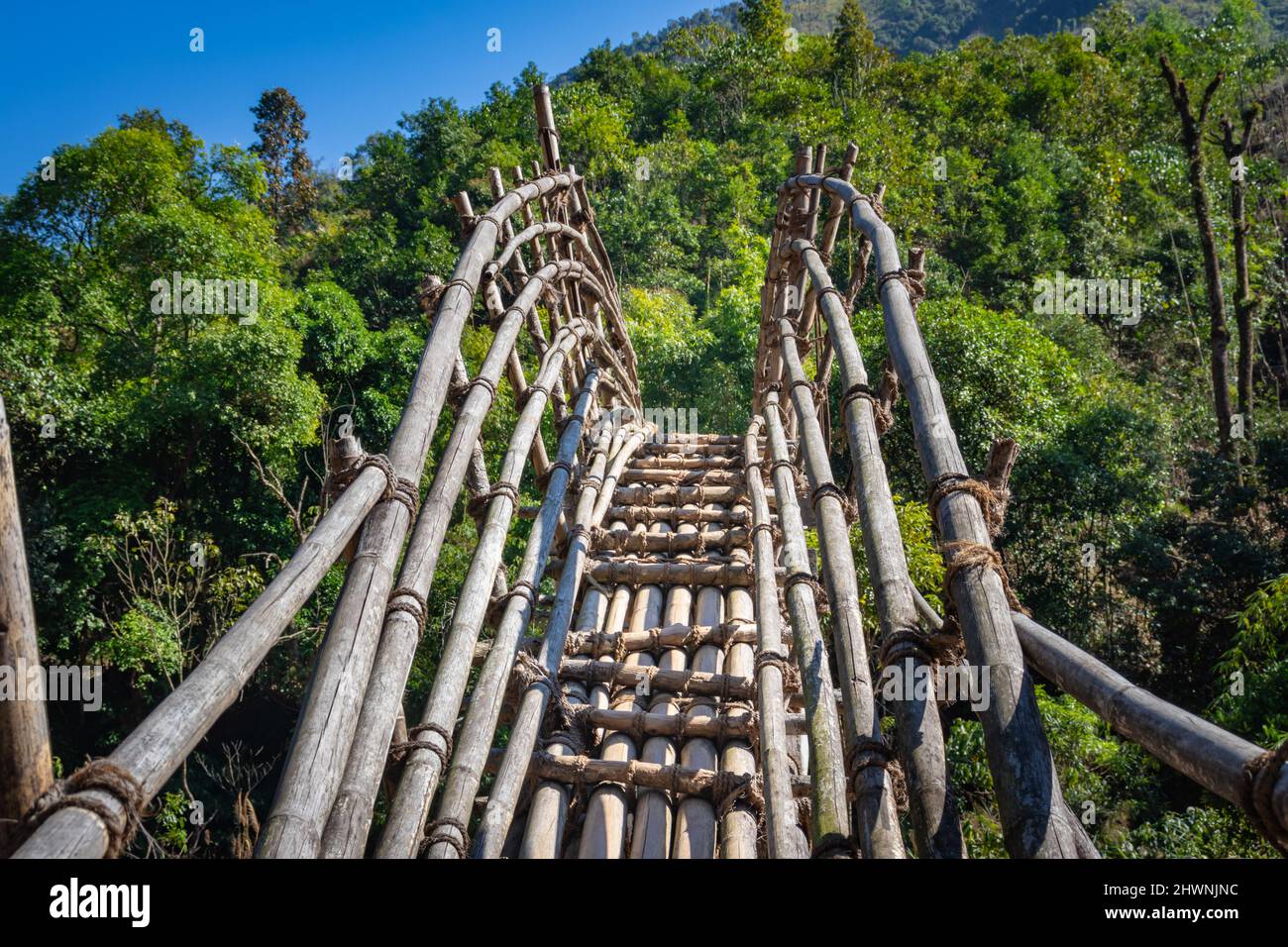 traditional bamboo bridge for crossing river at forest at morning from ...