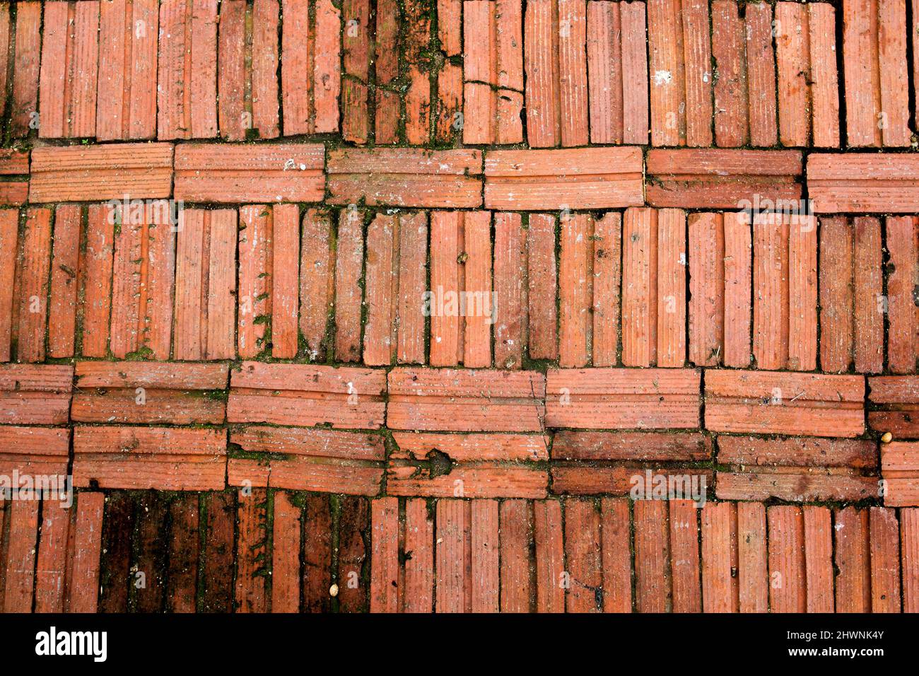 Walk style hi-res stock photography and images - Alamy