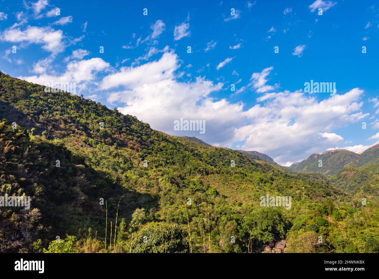 mountain covered with green forests and bright blue sky at afternoon ...