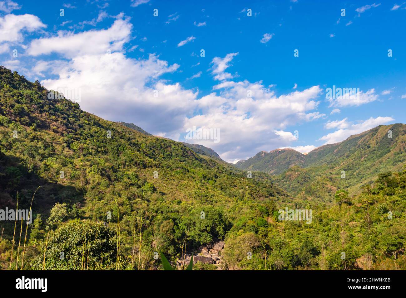 mountain covered with green forests and bright blue sky at afternoon ...