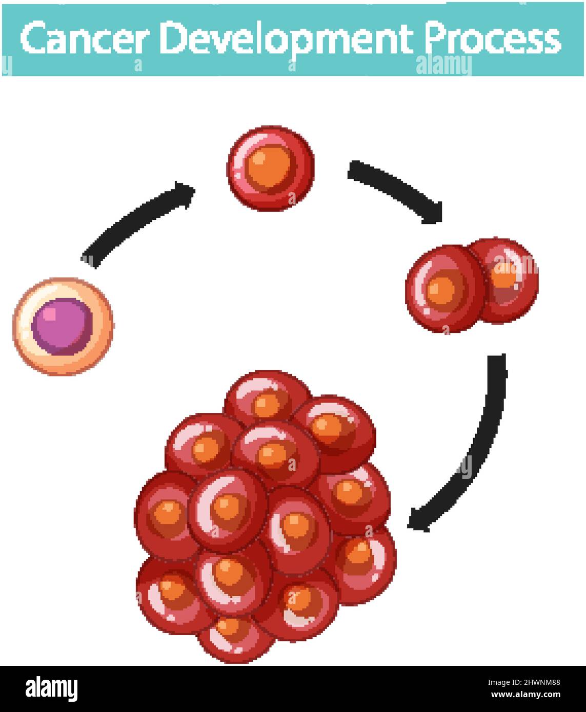 Normal development Stock Vector Images - Alamy
