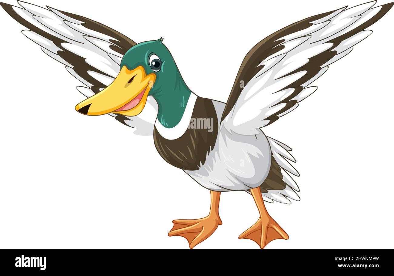 Little duck flying on white ground illustration Stock Vector Image ...
