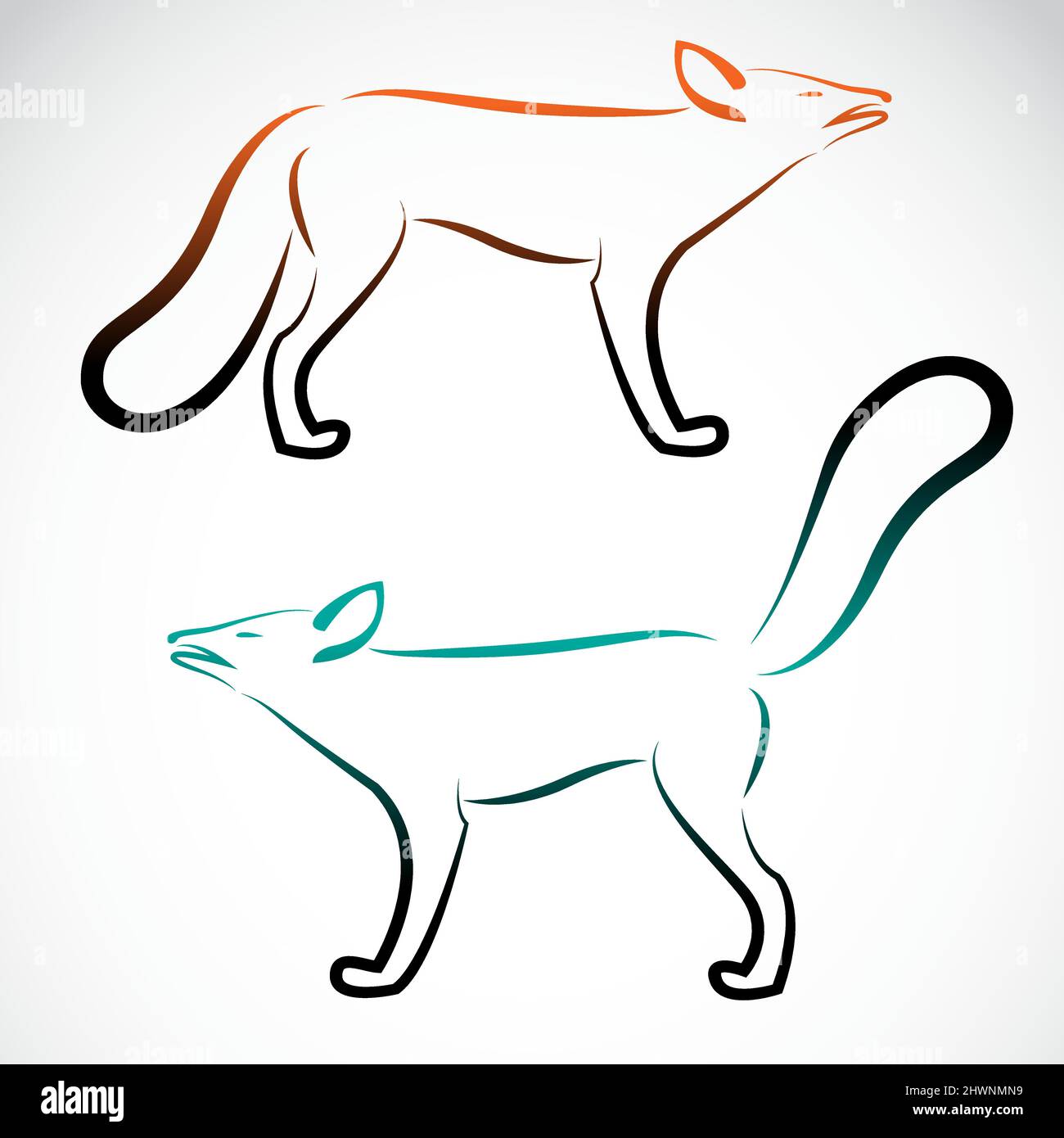 Vector image of a fox on white background. Easy editable layered vector ...