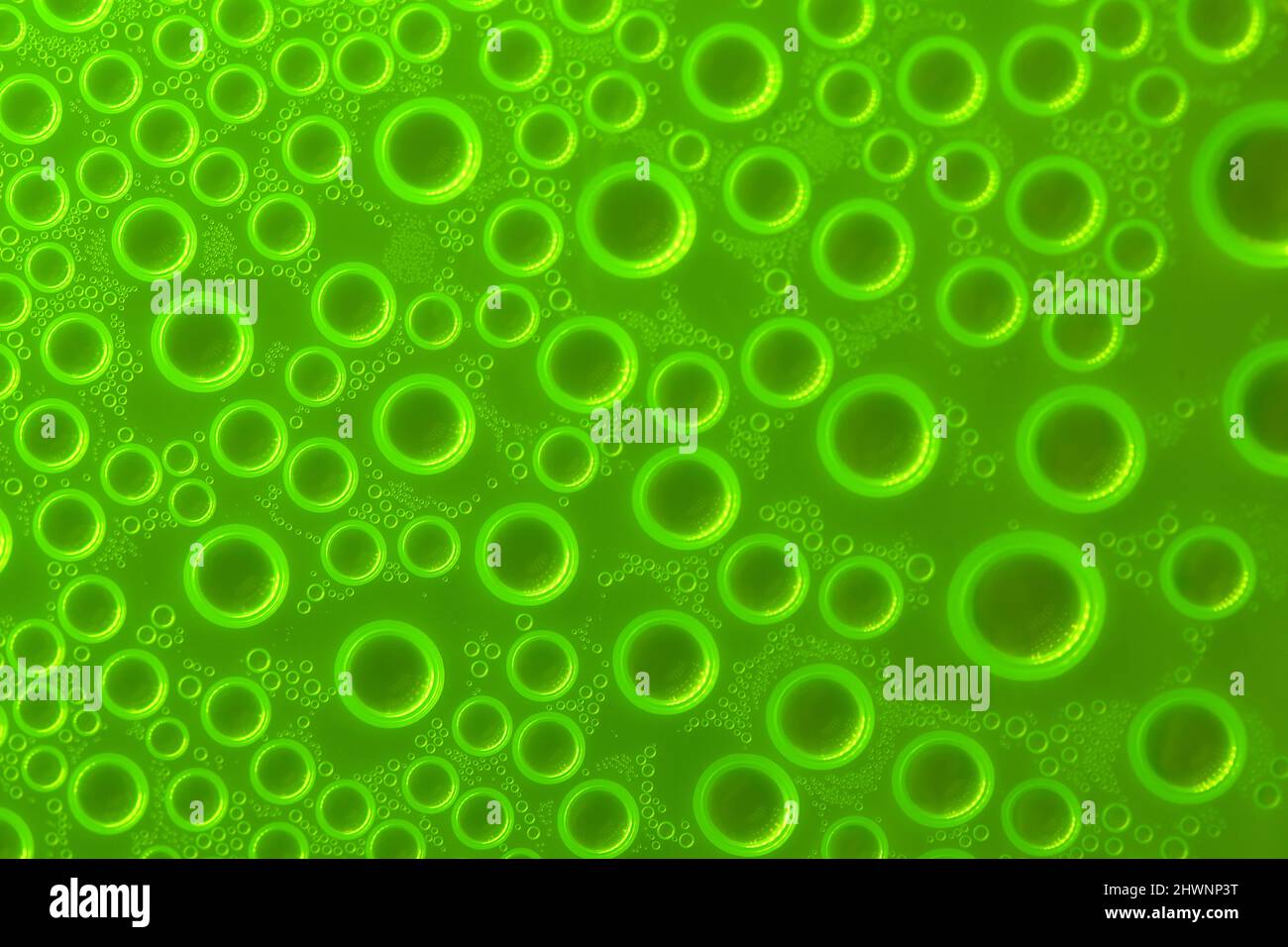 Water bubbles green background.wallpaper phone.Abstract background with ...