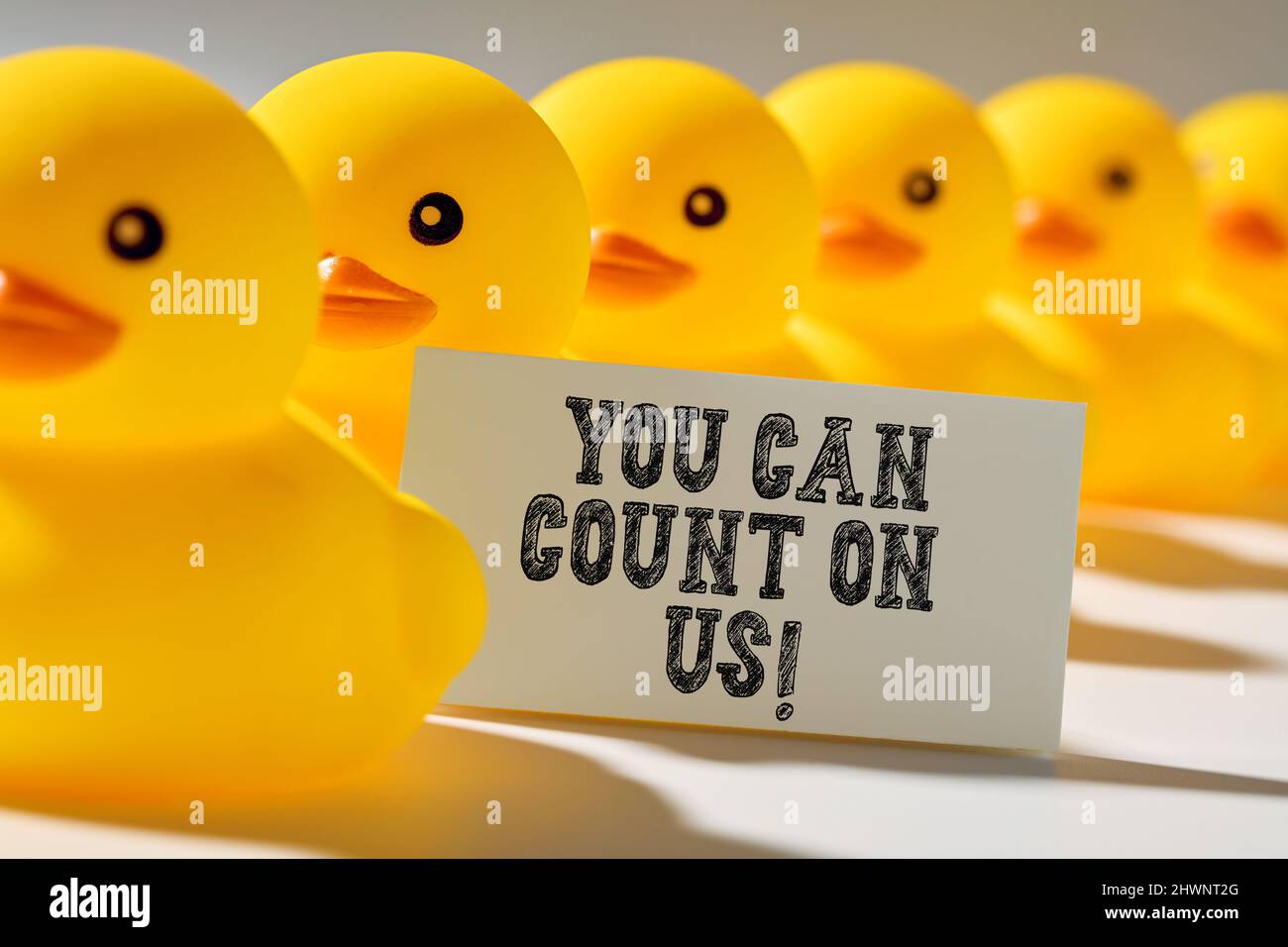 Client trust and assurance in business concept. Rubber ducks in a row ...
