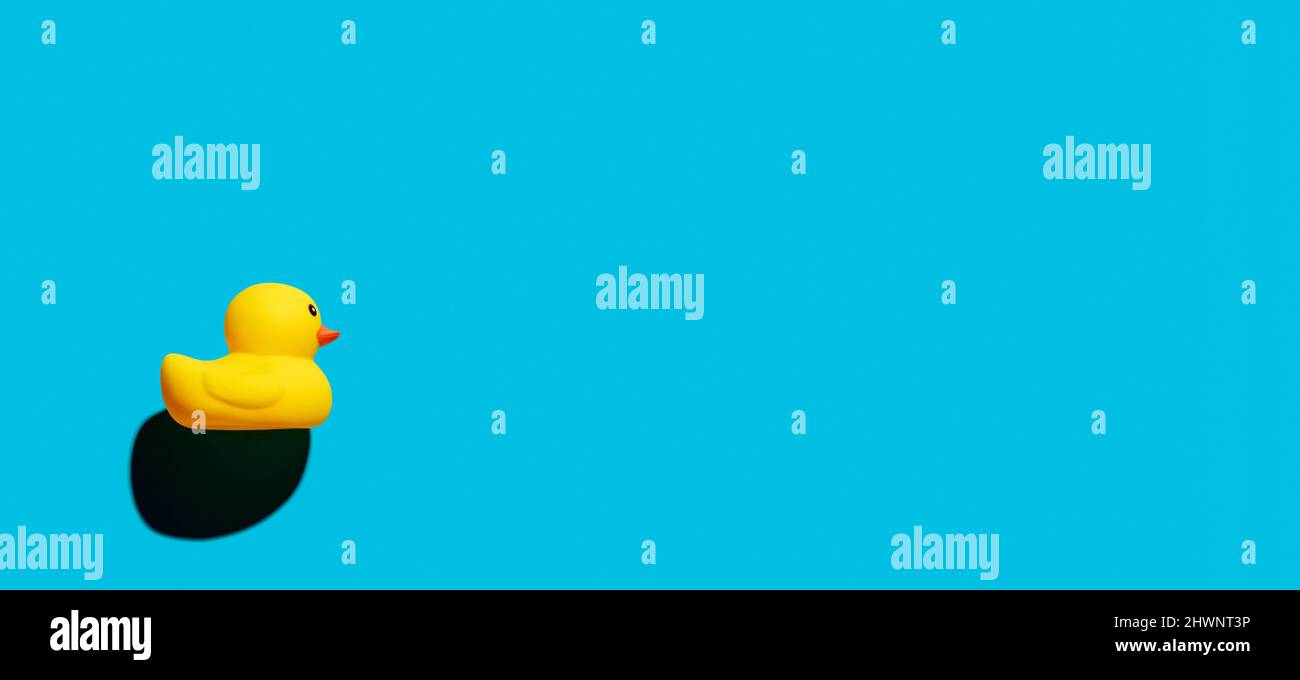 Side view of a yellow rubber duck on blue background with copy space ...