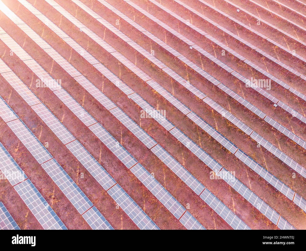 Aerial top view of a solar panels power plant. Photovoltaic solar ...
