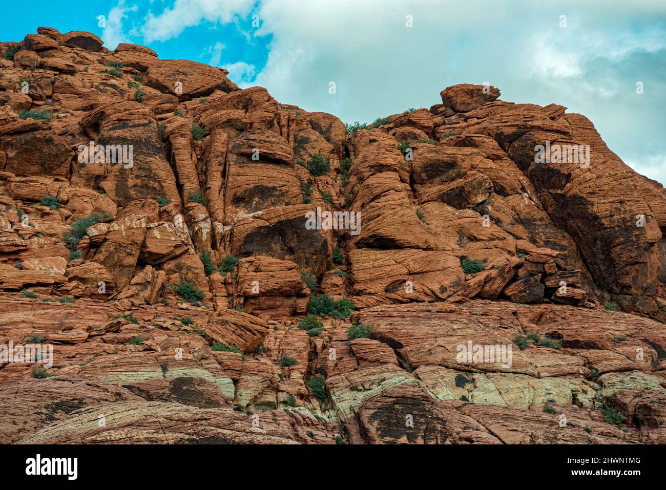Striated rocks of the Calico Hills at Red Rock Canyon National ...