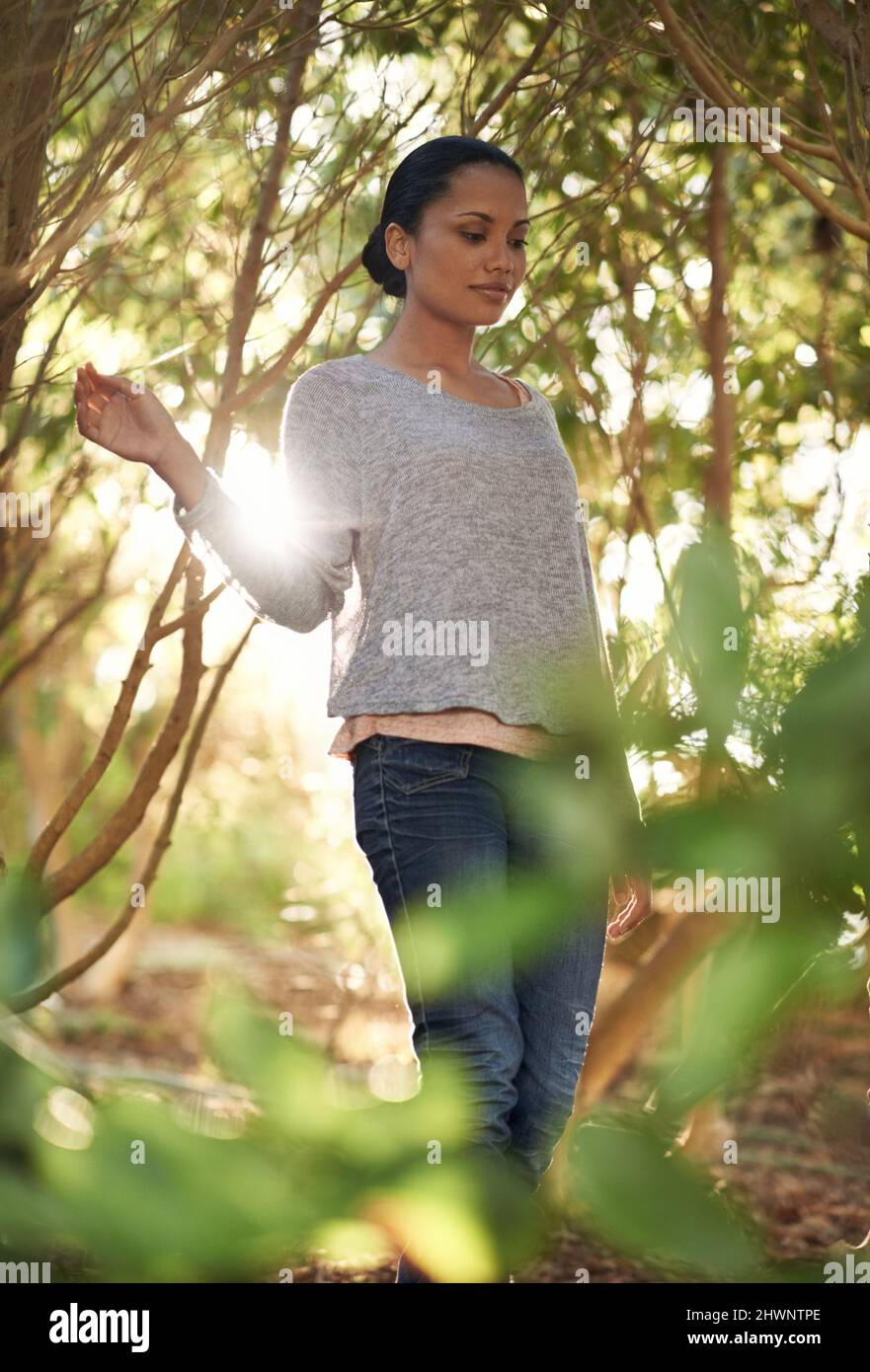 Taking in nature. A young woman enjoying a walk in the woods Stock ...