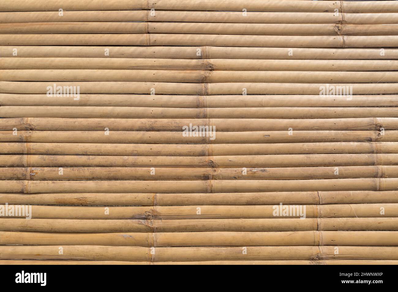 Bamboo panel texture background Stock Photo - Alamy