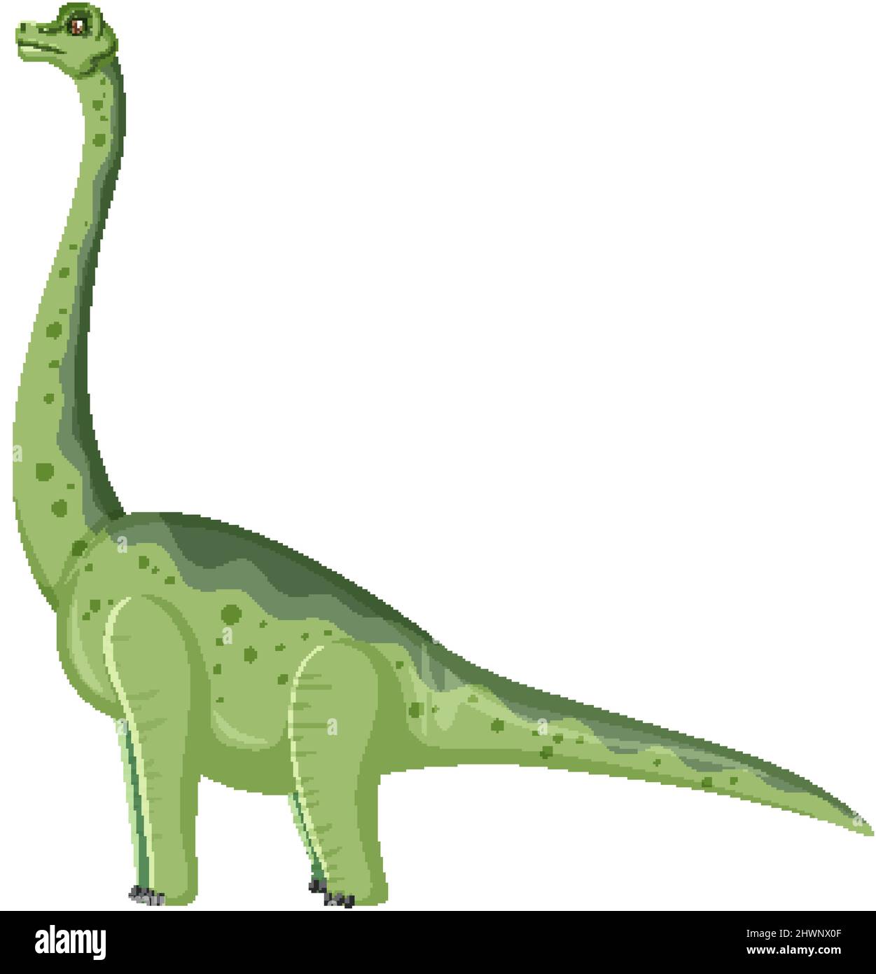 Brachiosaurus dinosaur on white background illustration Stock Vector ...