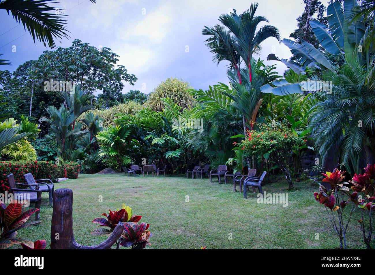 Beautiful view garden decorated hi-res stock photography and images - Alamy