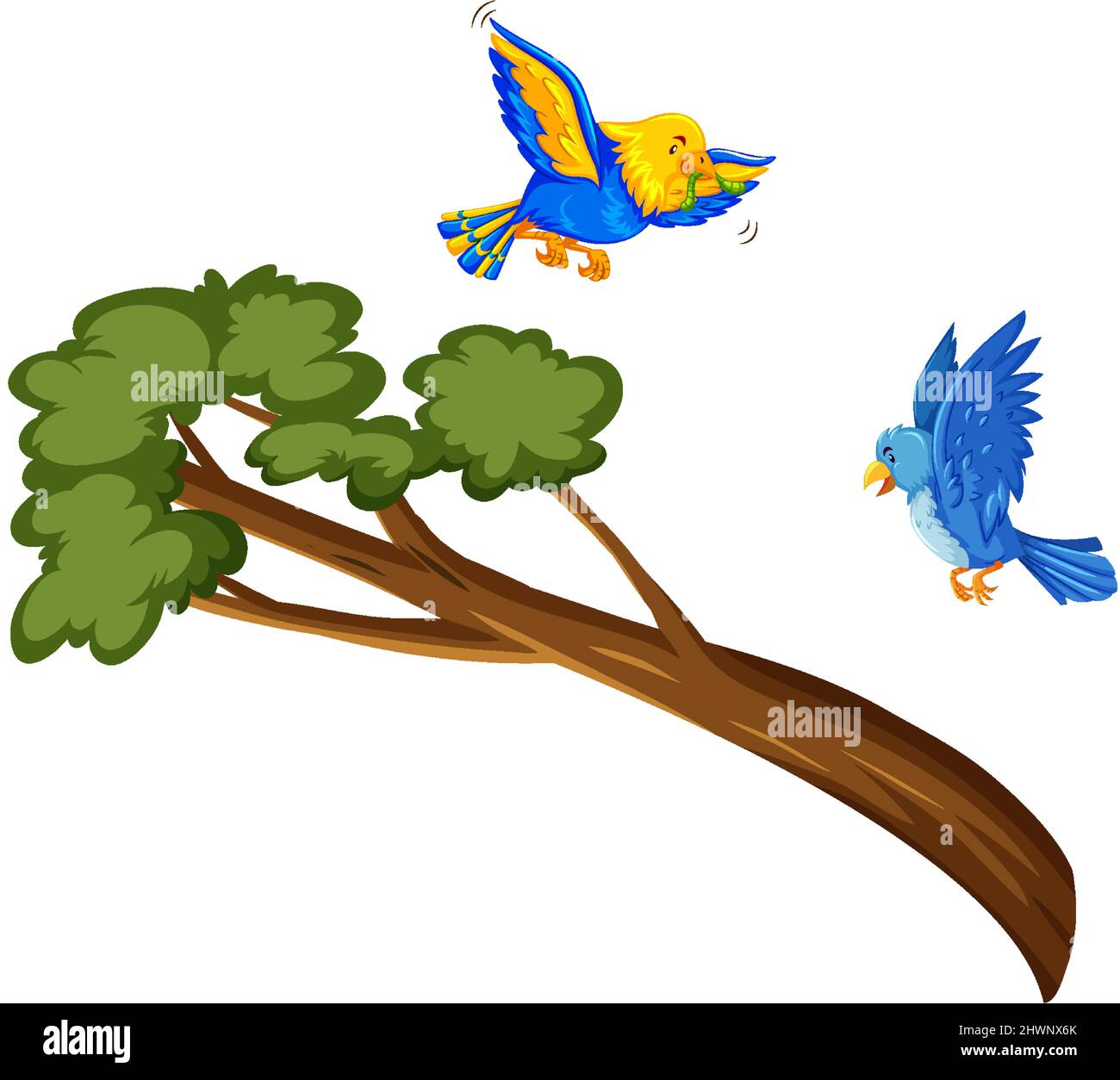 Two birds flying over branch illustration Stock Vector Image & Art - Alamy