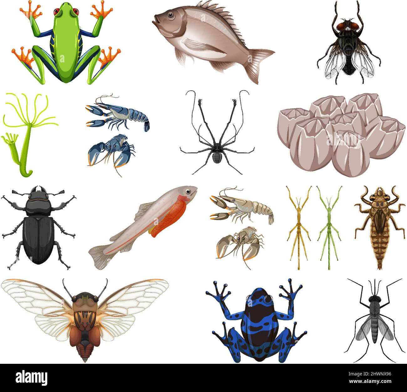 Different kinds of insects and animals on white background illustration ...