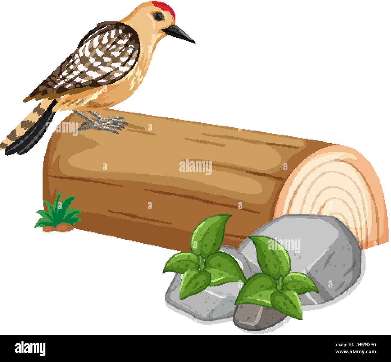 Log rock Cut Out Stock Images & Pictures - Alamy