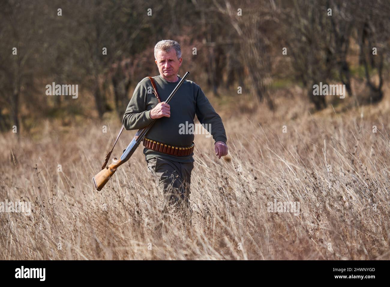 Hunter rifle walking woods hi-res stock photography and images - Alamy