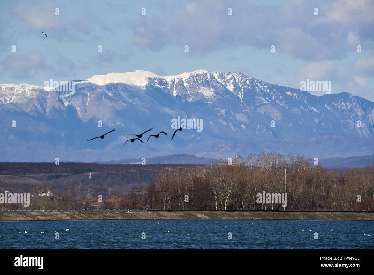 Dam lake with birds flying above and mountains in the distance in late ...