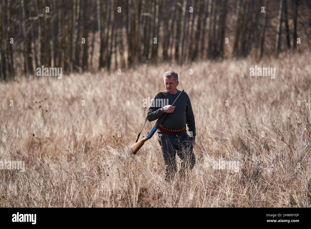 Hunter with rifle walking through the high grass by the forest Stock ...