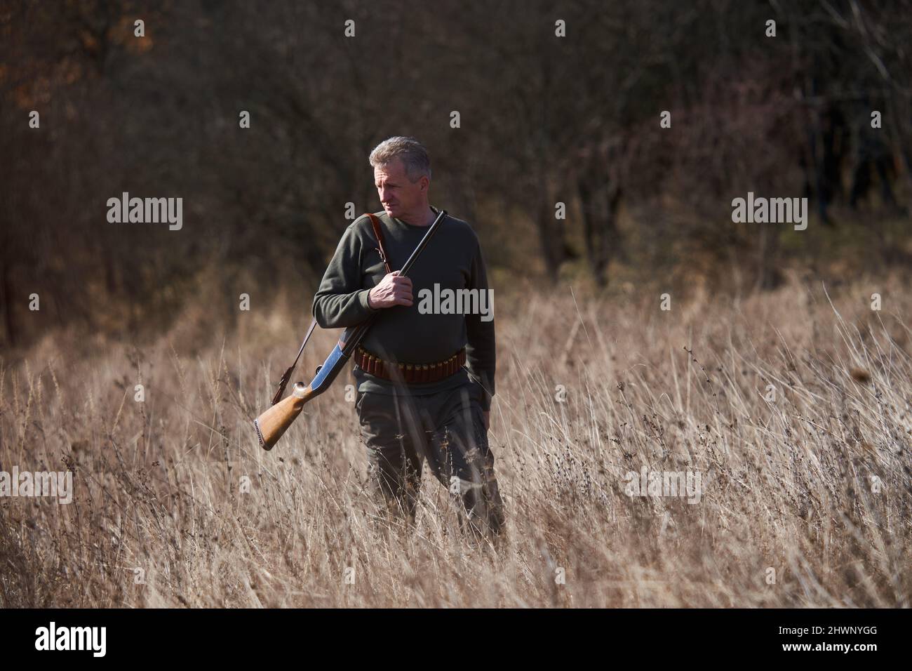 Hunter with rifle walking through the high grass by the forest Stock ...