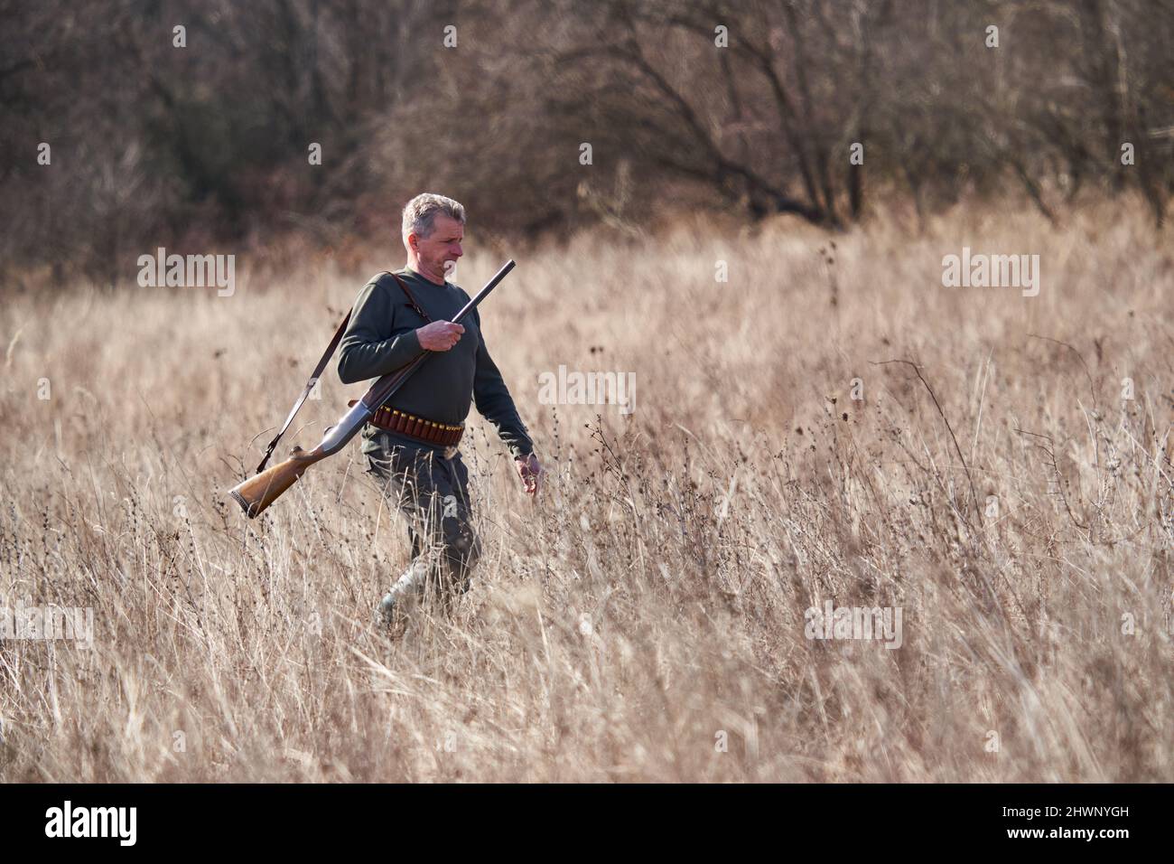 Hunter with rifle walking through the high grass by the forest Stock ...