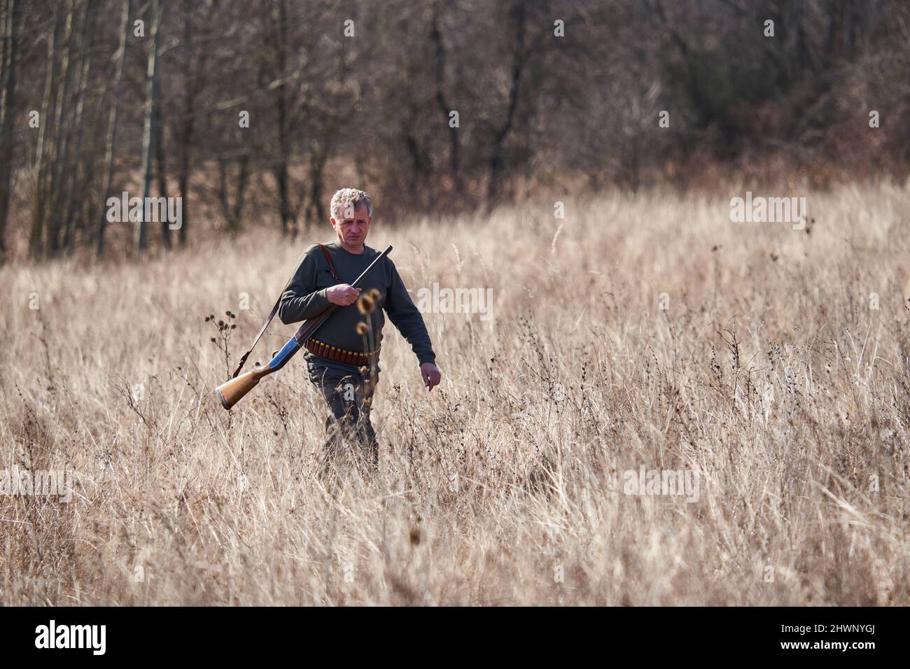 Hunter with rifle walking through the high grass by the forest Stock ...