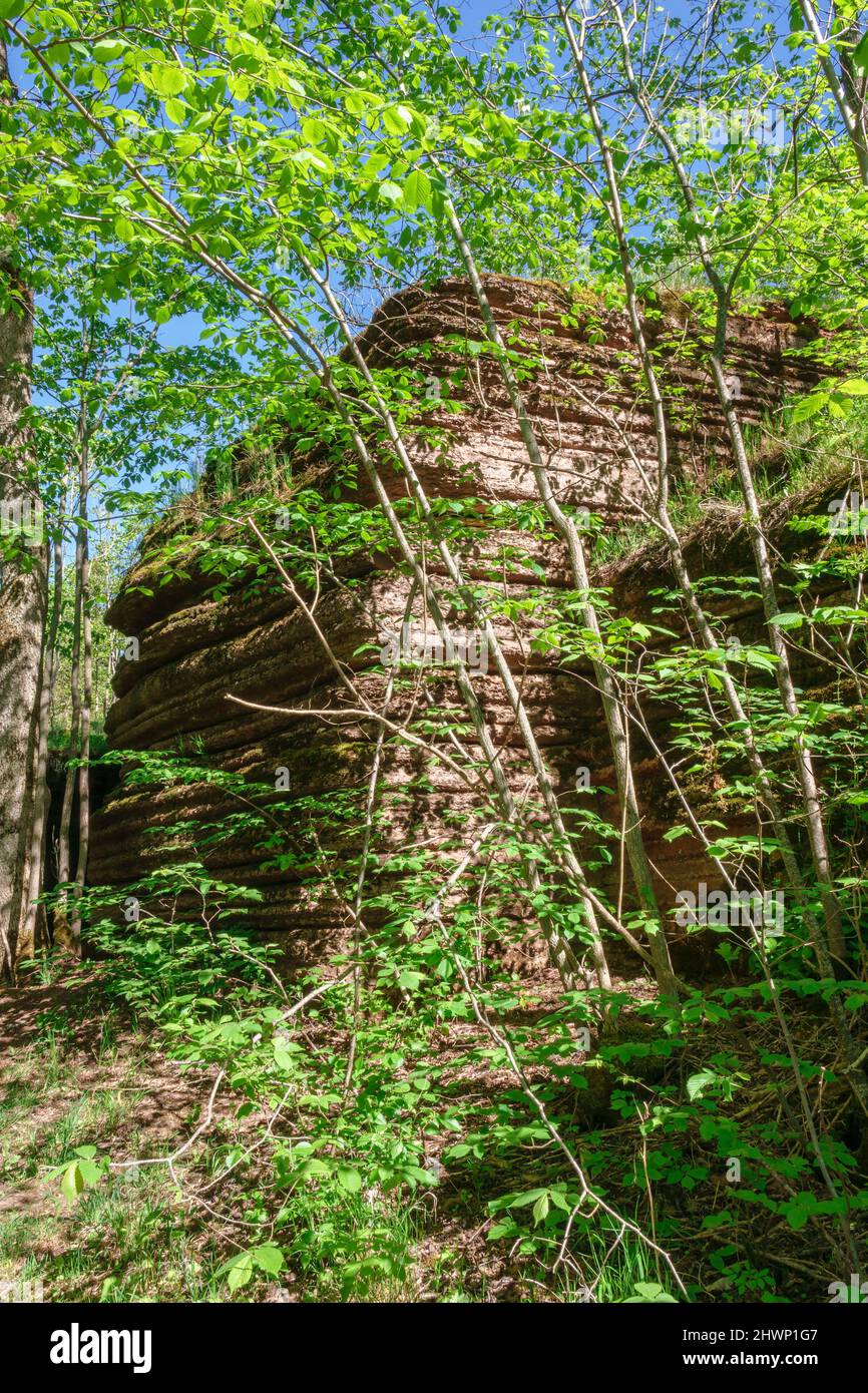 Twig formation hi-res stock photography and images - Alamy