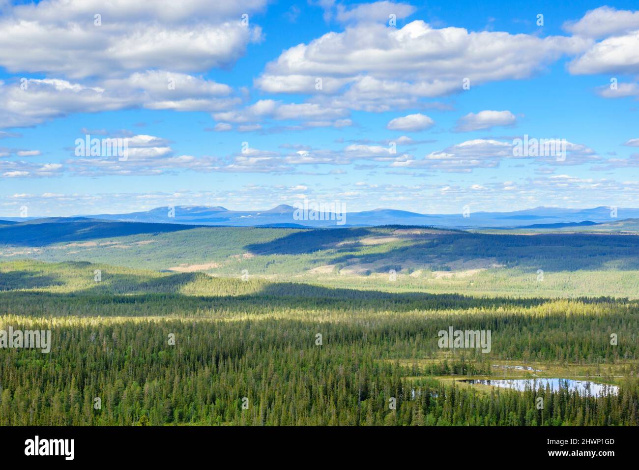 Aerial view taiga boreal forest hi-res stock photography and images - Alamy