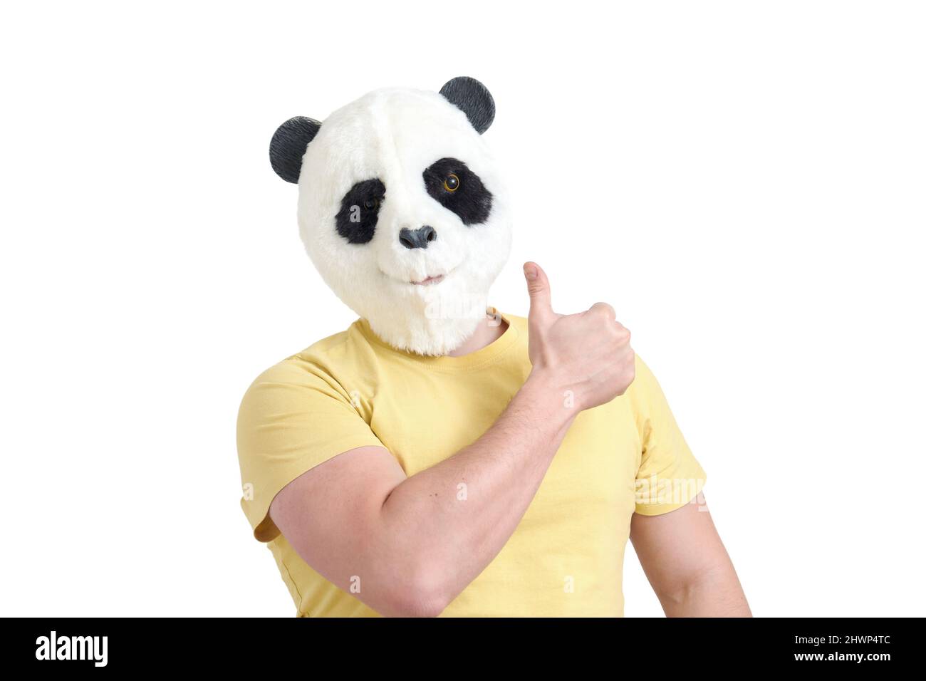 Man wearing a panda mask head thumbs up, isolated Stock Photo - Alamy