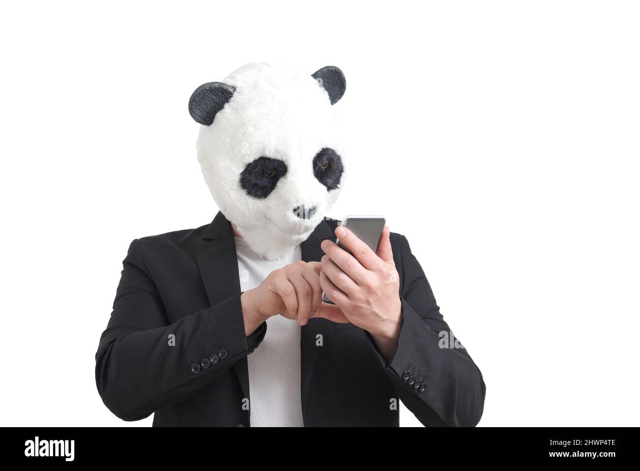Man wearing a panda mask head and a suit using a smartphone, isolated ...
