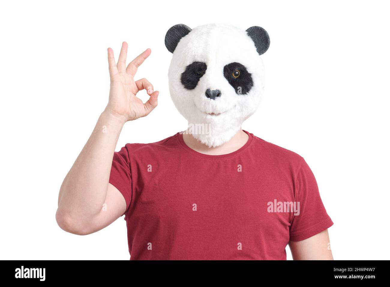 Man wearing a panda mask head holds an okay gesture with hand, isolated ...