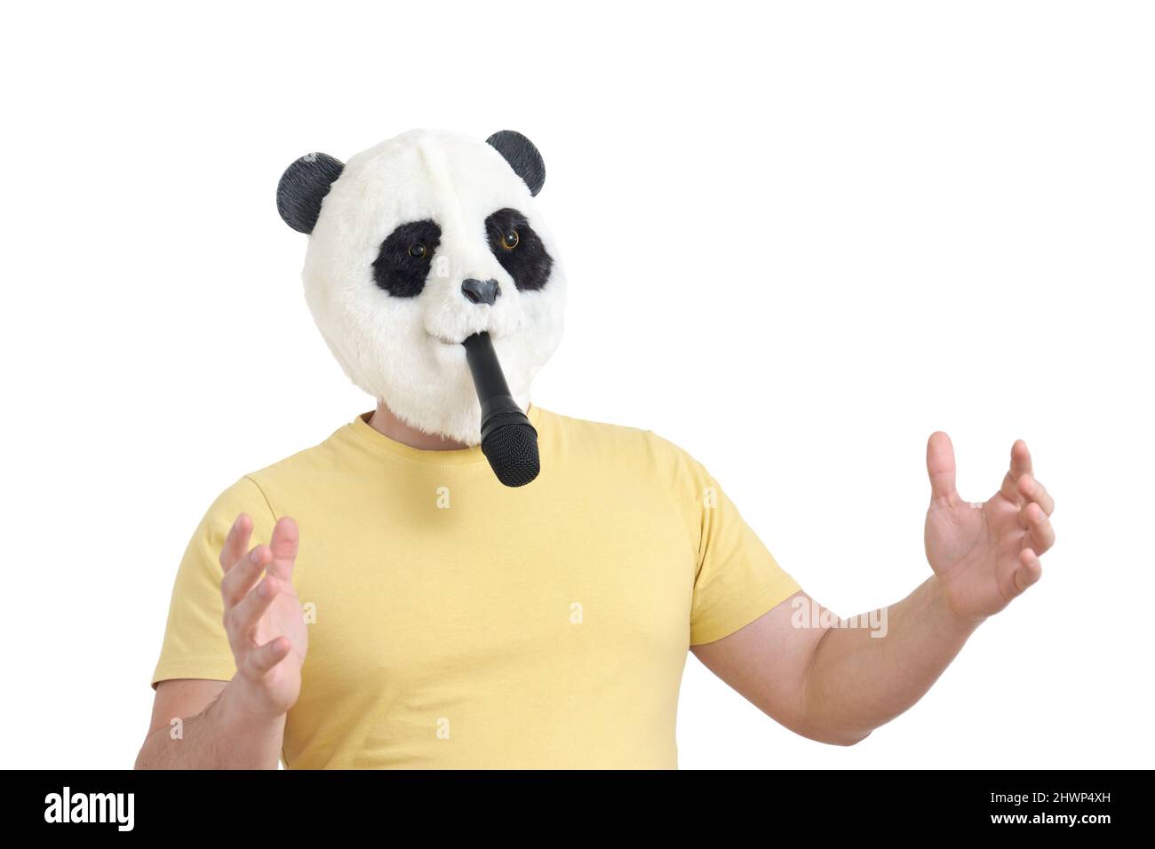 Man wearing a panda mask head biting a microphone isolated Stock Photo ...